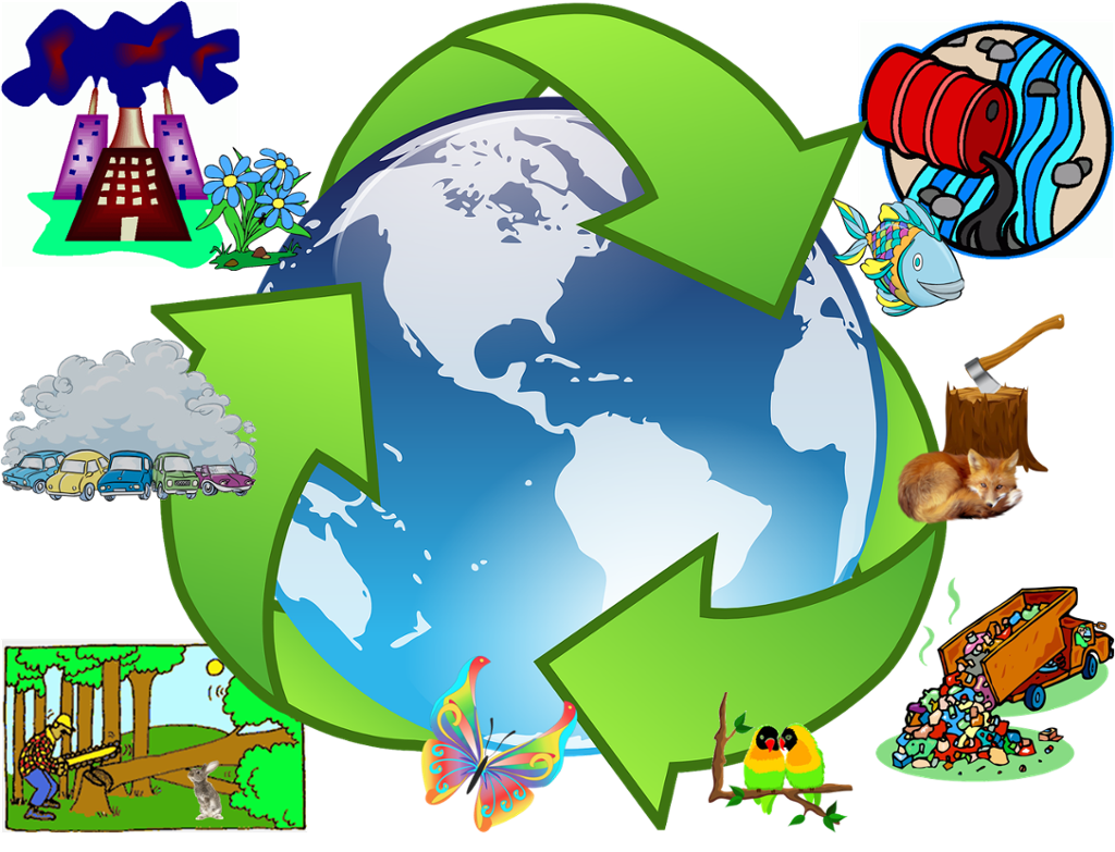 Upload Project - Codevidhya